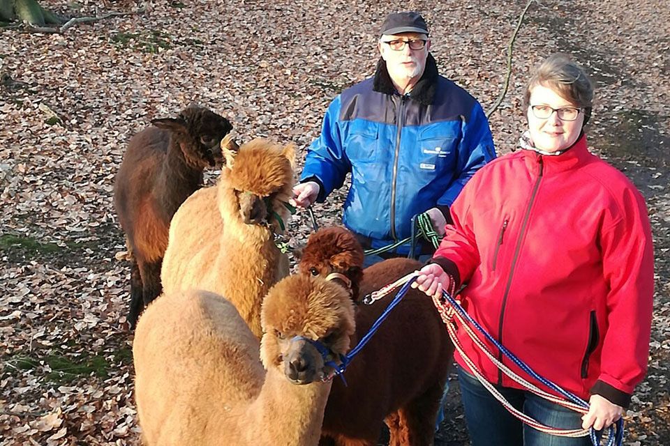 Alpaka Touren | Alpaka-Wandern | © 2021